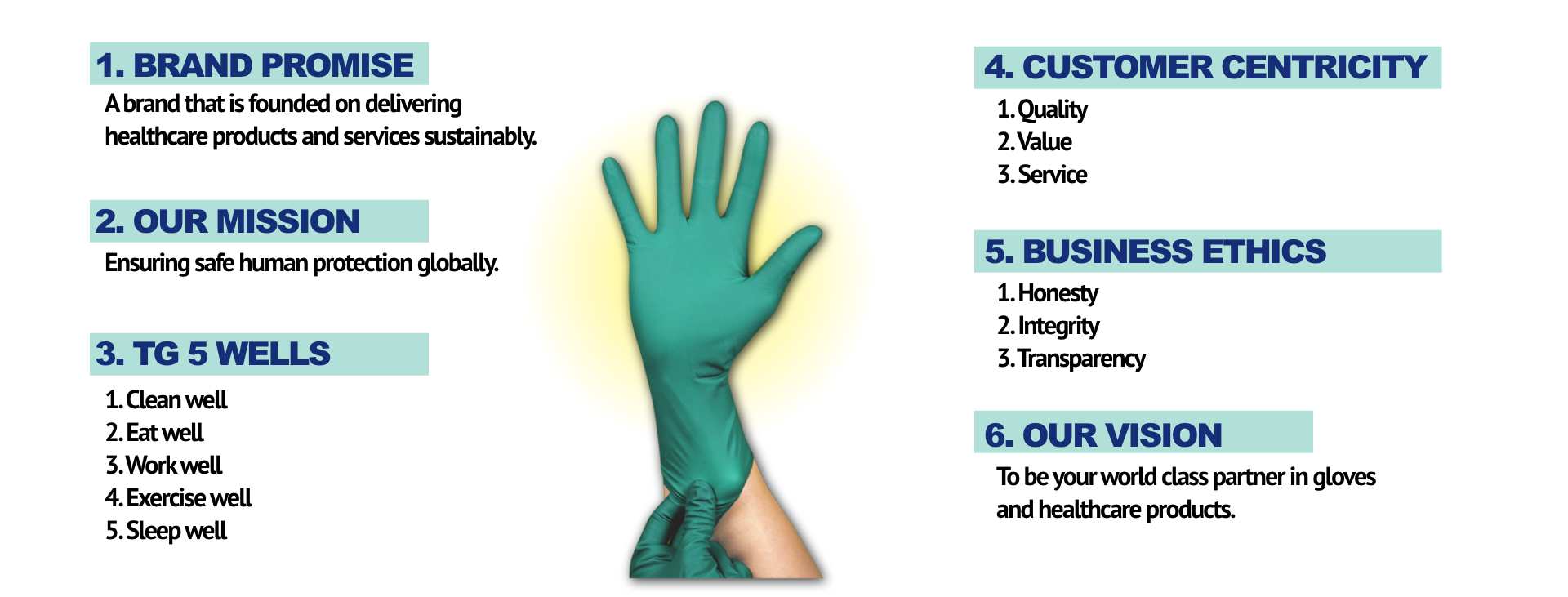 Brand - The World's Largest Manufacturer of Glove